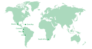 Avocado - Discovered