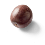 Passiefruit - Discovered