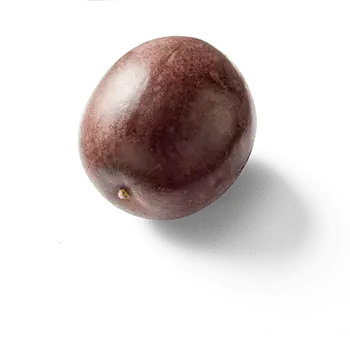 Passiefruit - Discovered