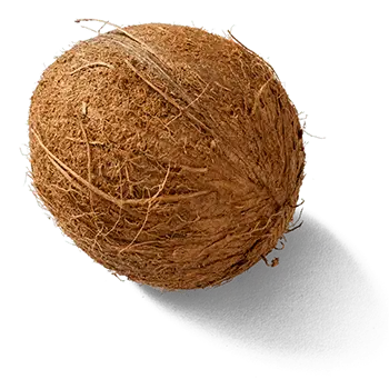 Kokosnoot - Discovered