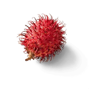 Rambutan - Discovered